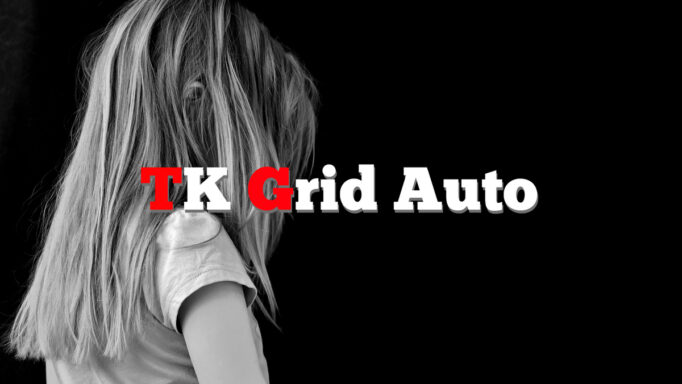 【徹底解説】海外FXブローカー「TradersTrust」のすべて – 初心者から上級者まで必見の完全ガイド | TAKOの森